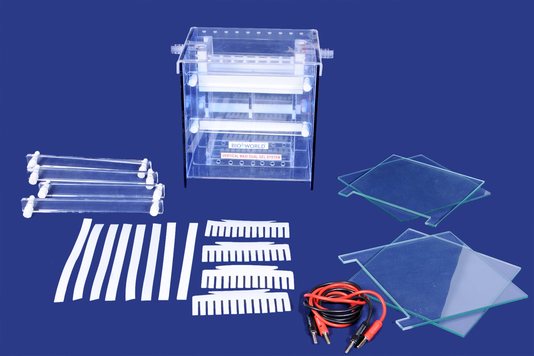SDS Page/Vertical Gel Electrophoresis Ststem – bioworldindia.in