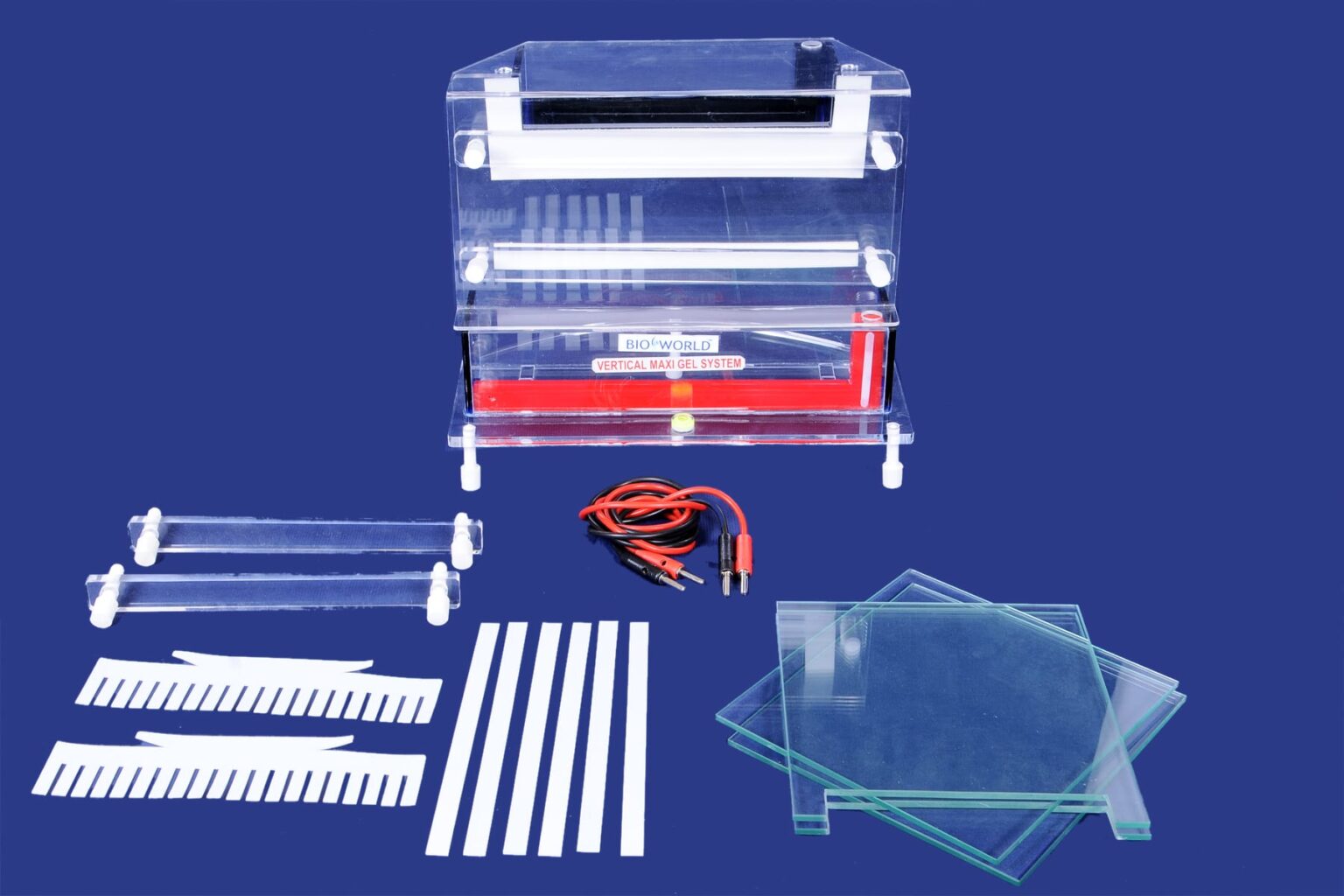 SDS Page/Vertical Gel Electrophoresis Ststem – bioworldindia.in