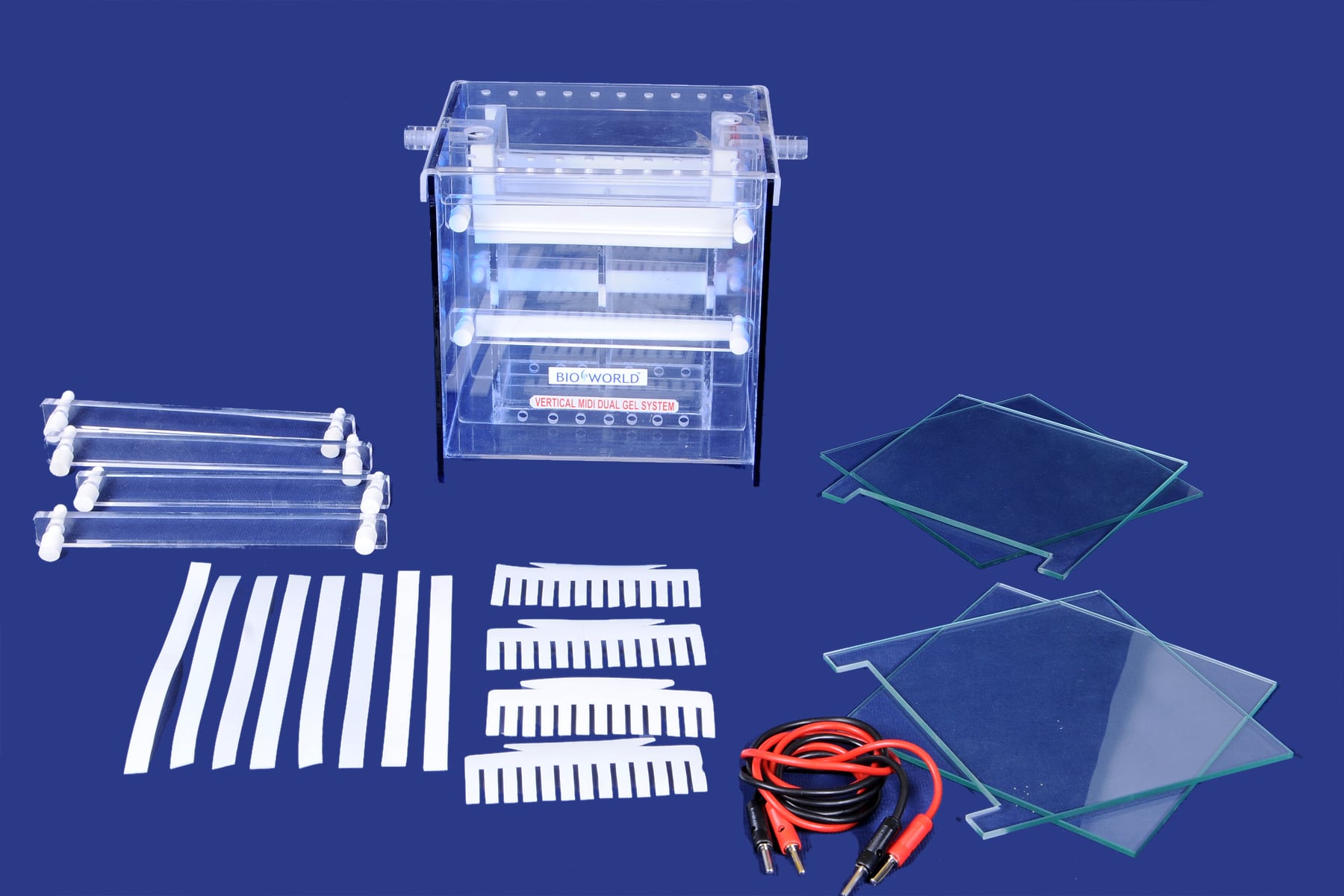 SDS Page/Vertical Gel Electrophoresis Ststem – bioworldindia.in