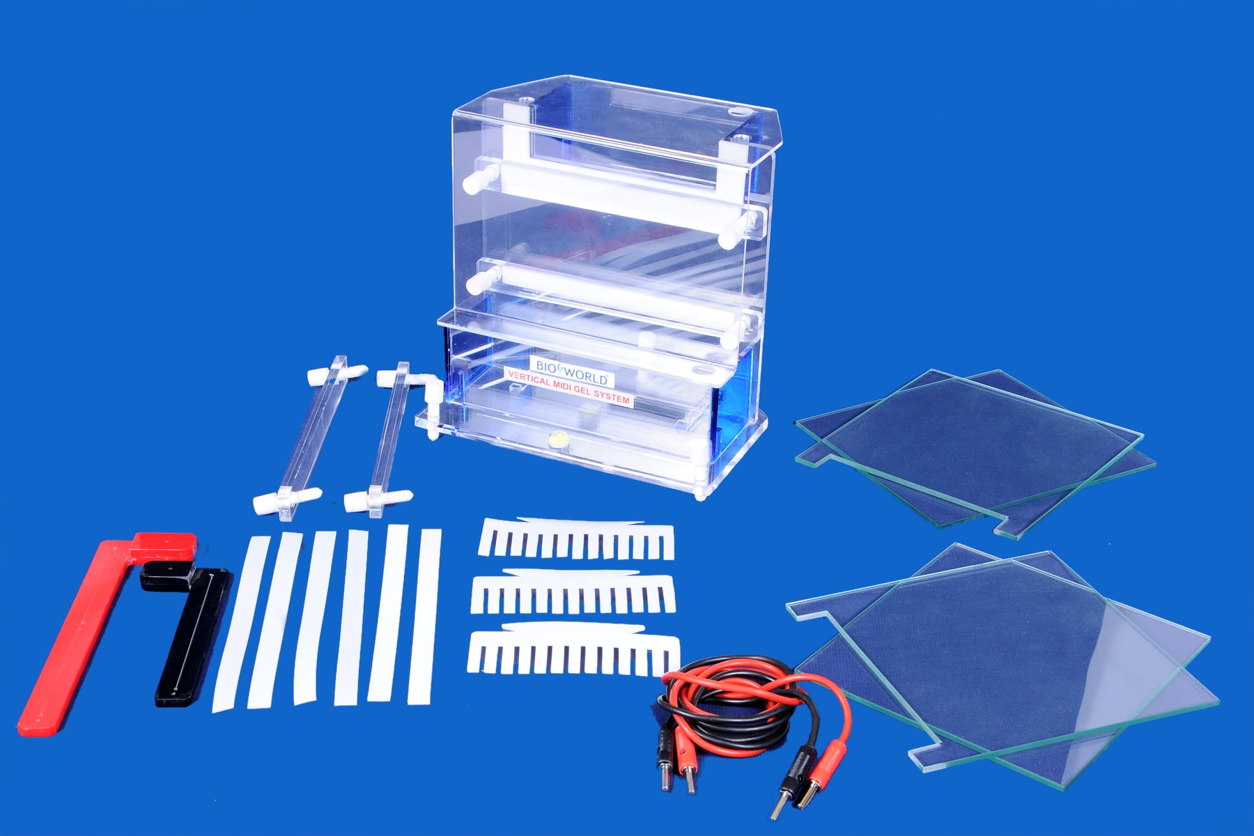 SDS Page/Vertical Gel Electrophoresis Ststem – bioworldindia.in