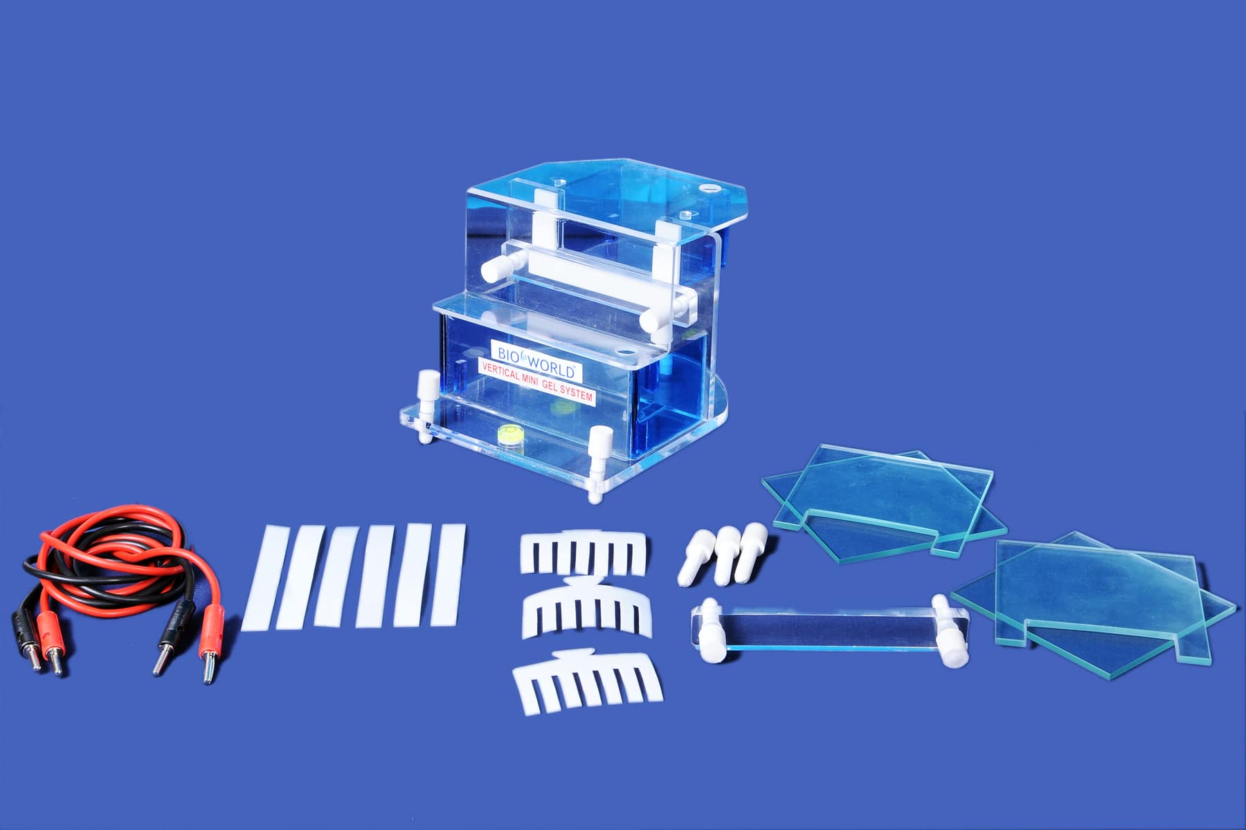 SDS Page/Vertical Gel Electrophoresis Ststem – bioworldindia.in